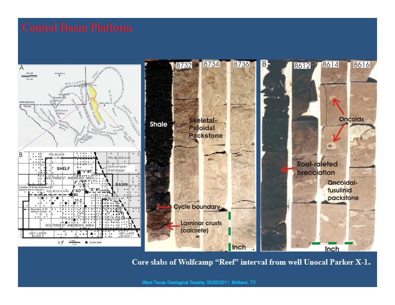 |A Synthesis of the Wolfcampian Platform Carbonat|336195|docFinder|PLS
