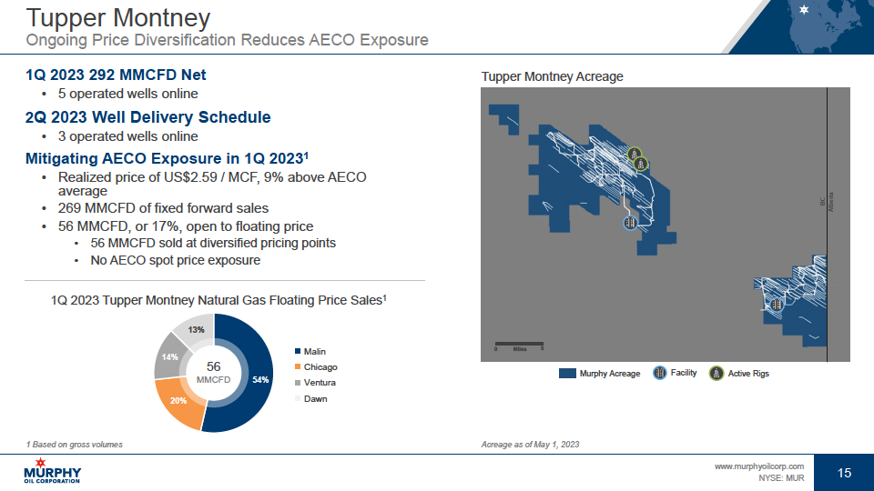 |May 2023 Investor Presentation|2754205|docFinder|PLS